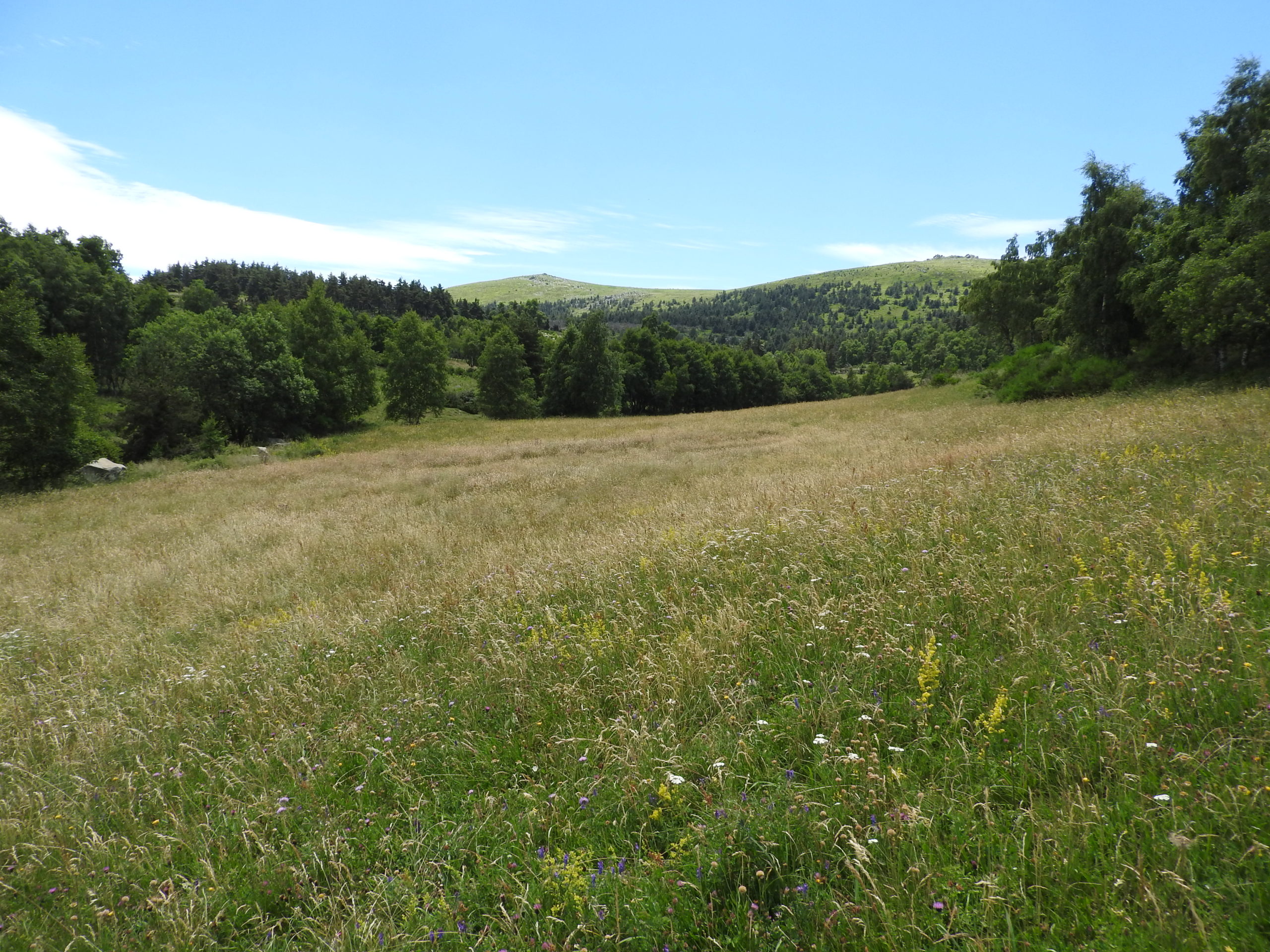 Le PNC lance une expérimentation pour développer les prairies ...